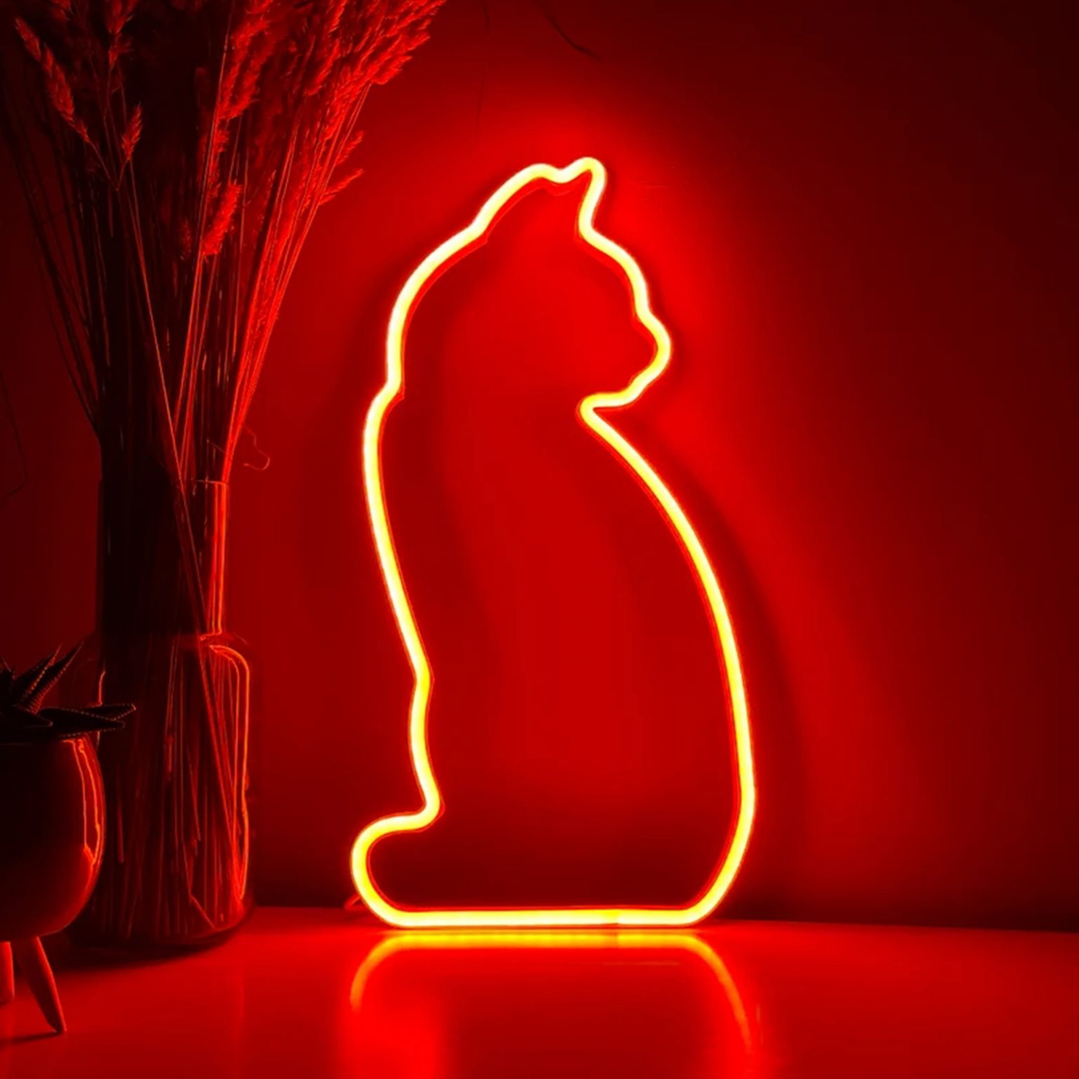 Cat Lover Animal Neon Sign | Liuyang Lamps